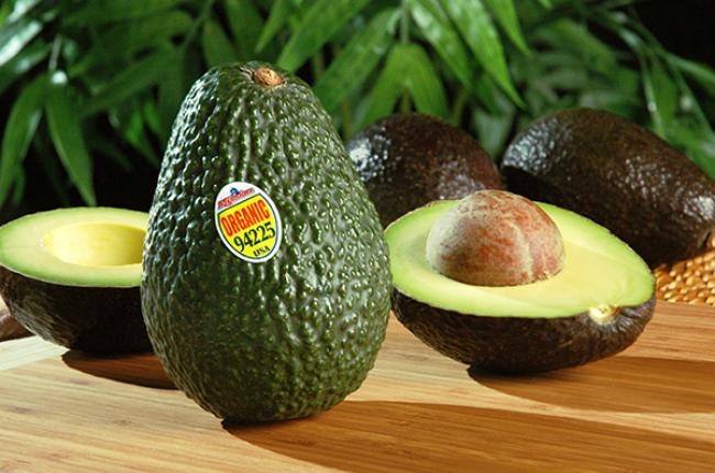 Avocados | Producepedia